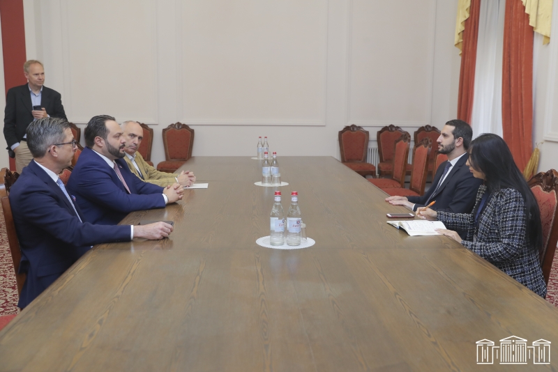 Ruben Rubinyan Receives Members of European Parliament